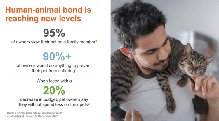 The 5 Best Animal Health Stocks For Pets Megatrend in 2026